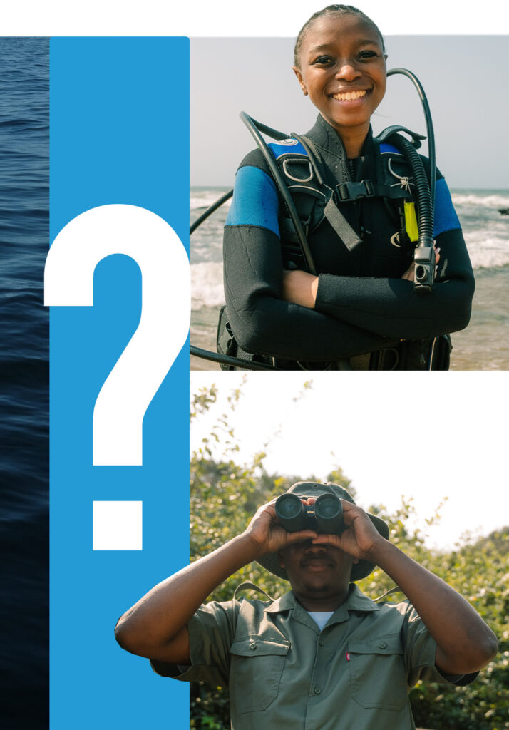 Ocean Impact | Wild Oceans