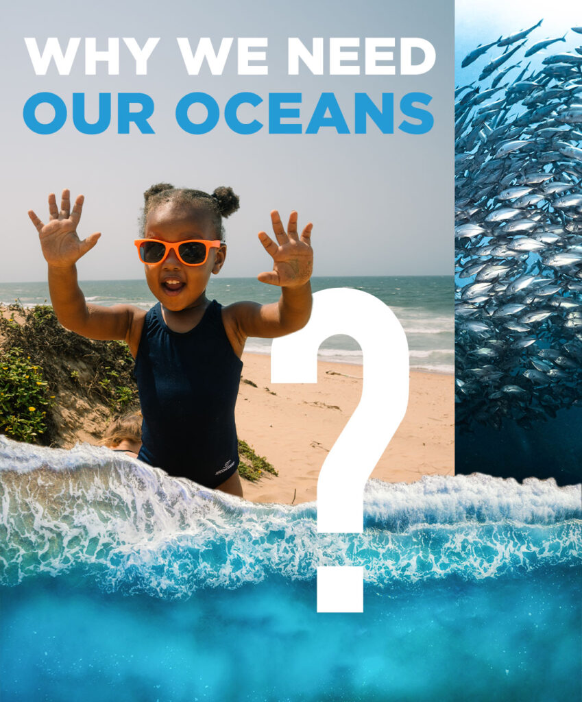 Ocean Impact | Why We Need Our Oceans